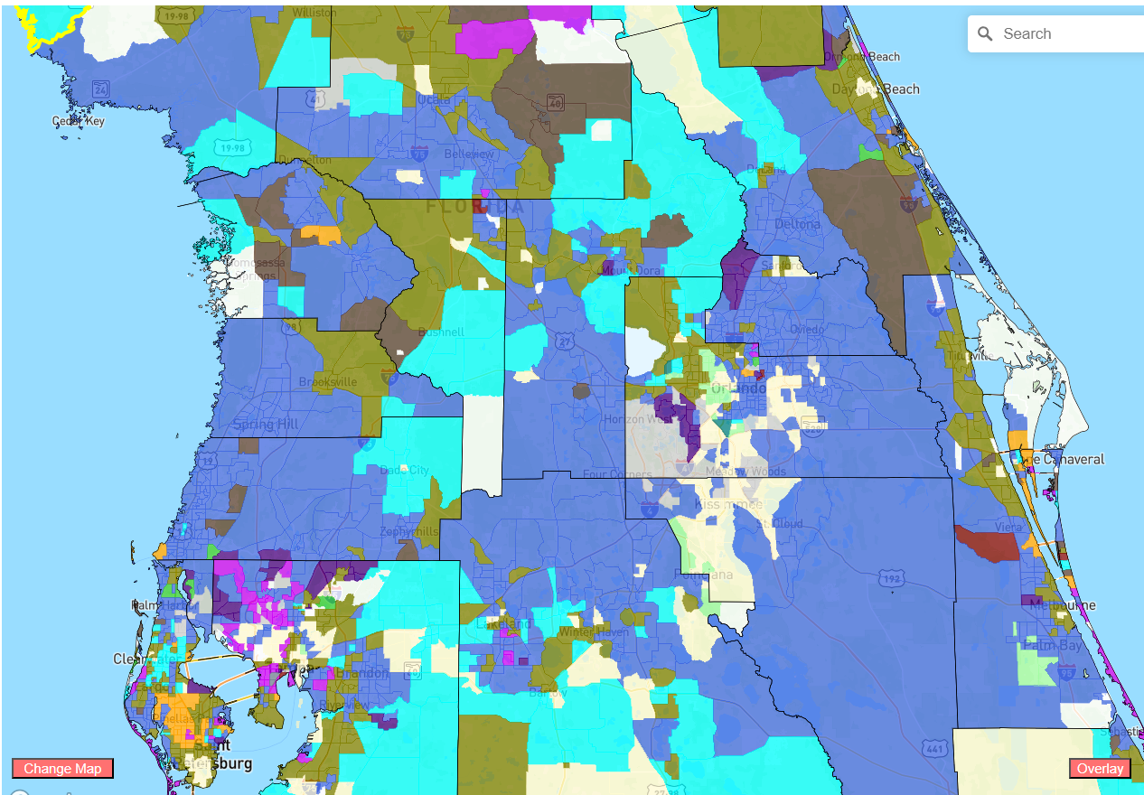 Detailed Ancestry Characteristics ~ Florida - The American ...